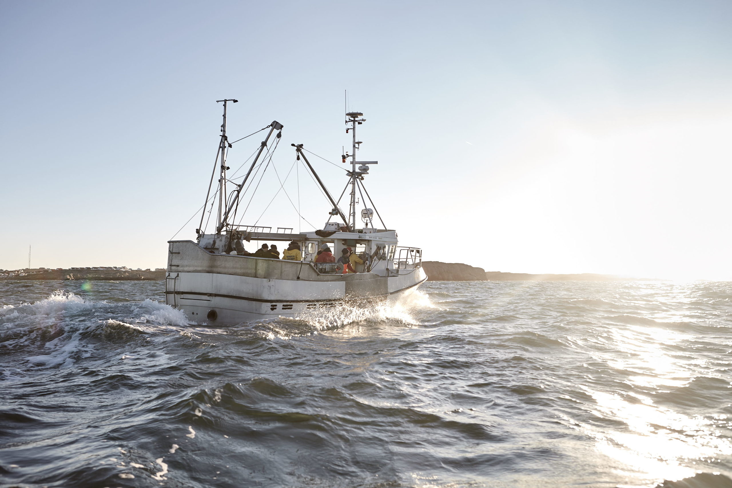 Deep sea angling, lobster- & crayfishing, seal safaris, seafood tours ...
